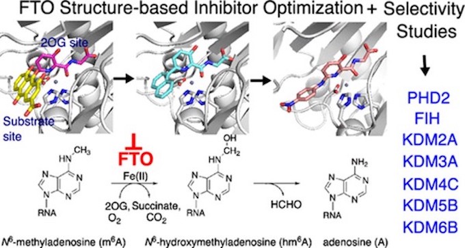 HKBU’s research group in collaboration with University of Oxford ...